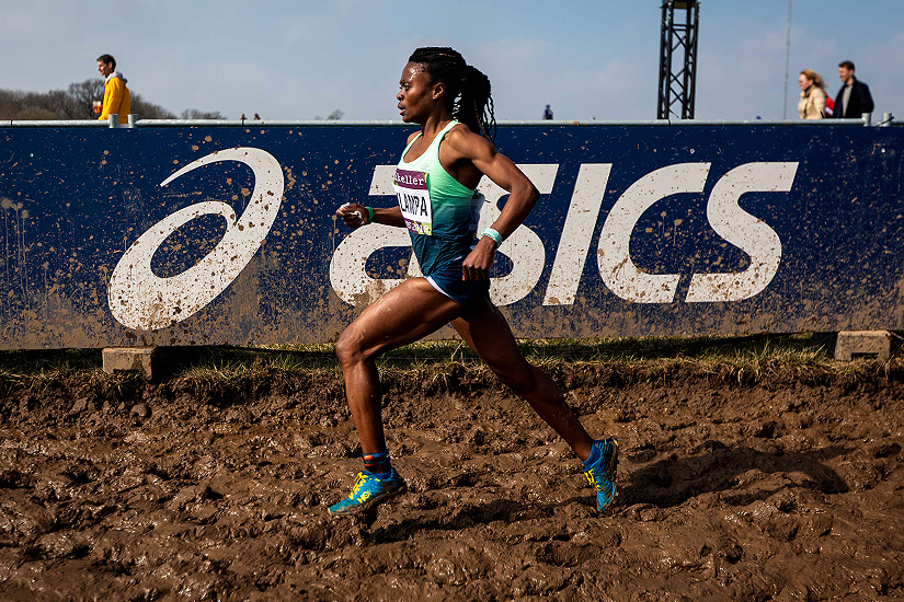 About Us – Bloem Striders
